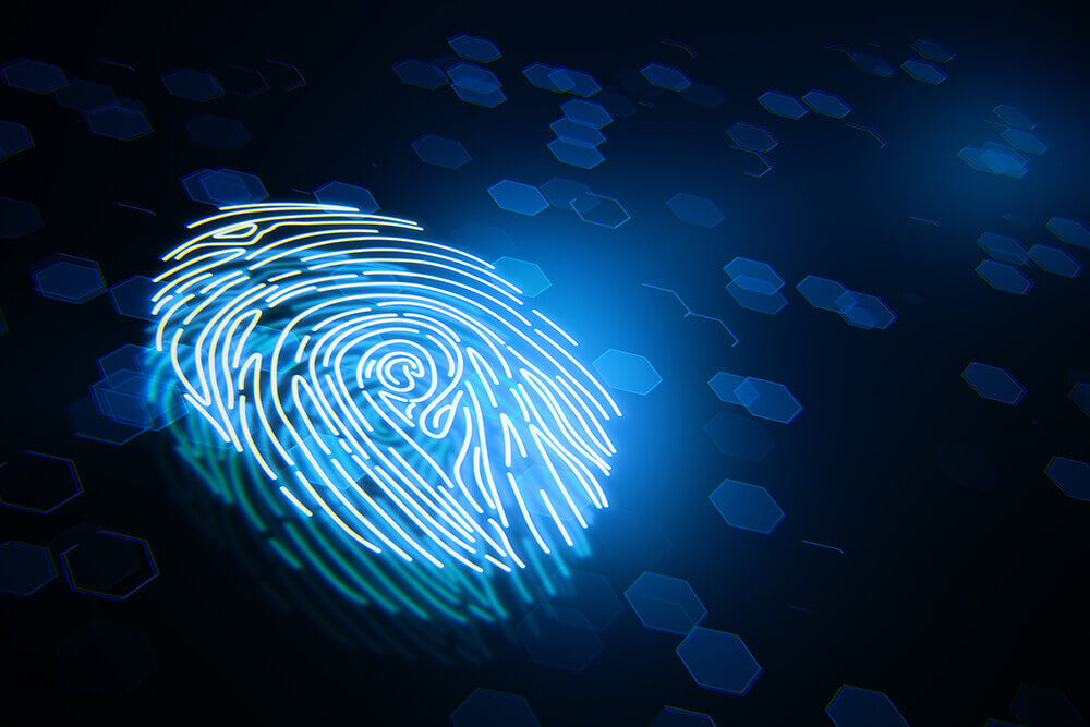 WebCheck Fingerprinting - Narrow Path Investigations